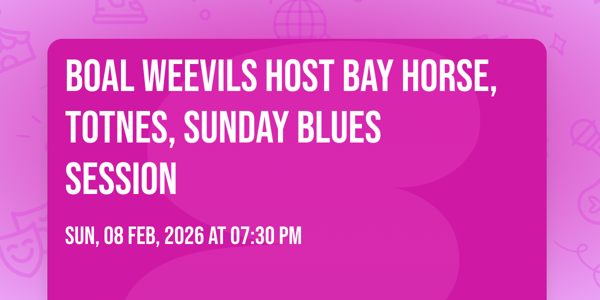 Boal Weevils host Bay Horse, Totnes, Sunday Blues Session, The Bay ...