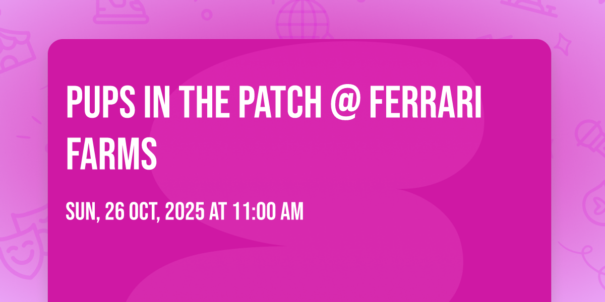Pups in the Patch @ Ferrari Farms, Ferrari Farms, Reno, 26 October 2025 ...
