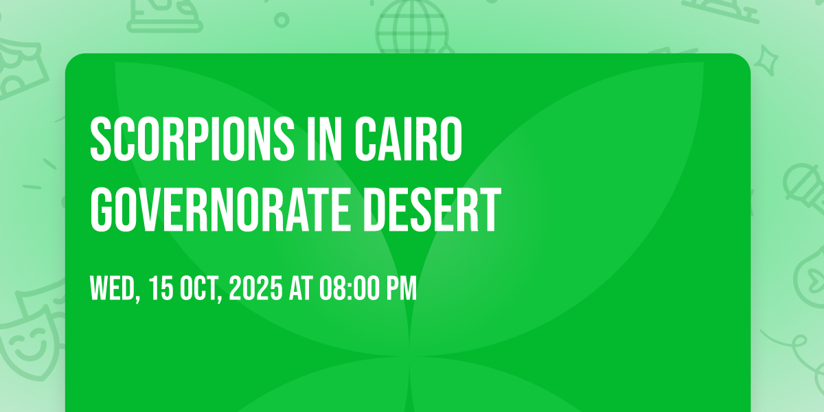 Scorpions in Cairo Governorate Desert, New Administrative Capital Green ...
