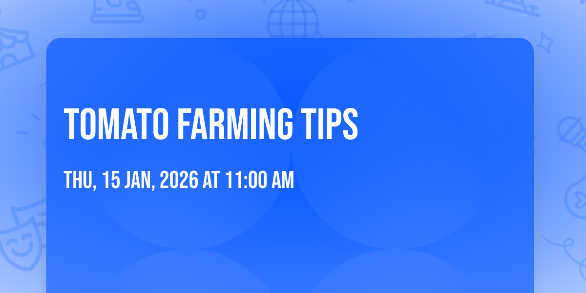 Tomato farming tips, Katani, Machakos, Nairobi, 15 January 2026