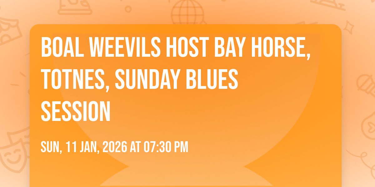 Boal Weevils host Bay Horse, Totnes, Sunday Blues Session at The Bay ...